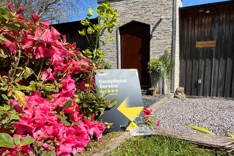 We are a Feefo Exceptional Service Winner