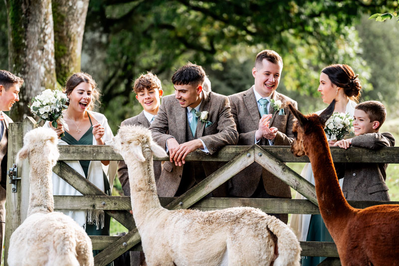 How to Include Guests in your Intimate Wedding